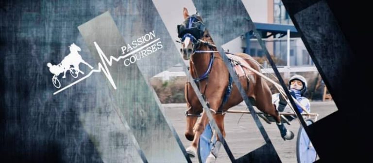 Passion Courses - Passion Courses